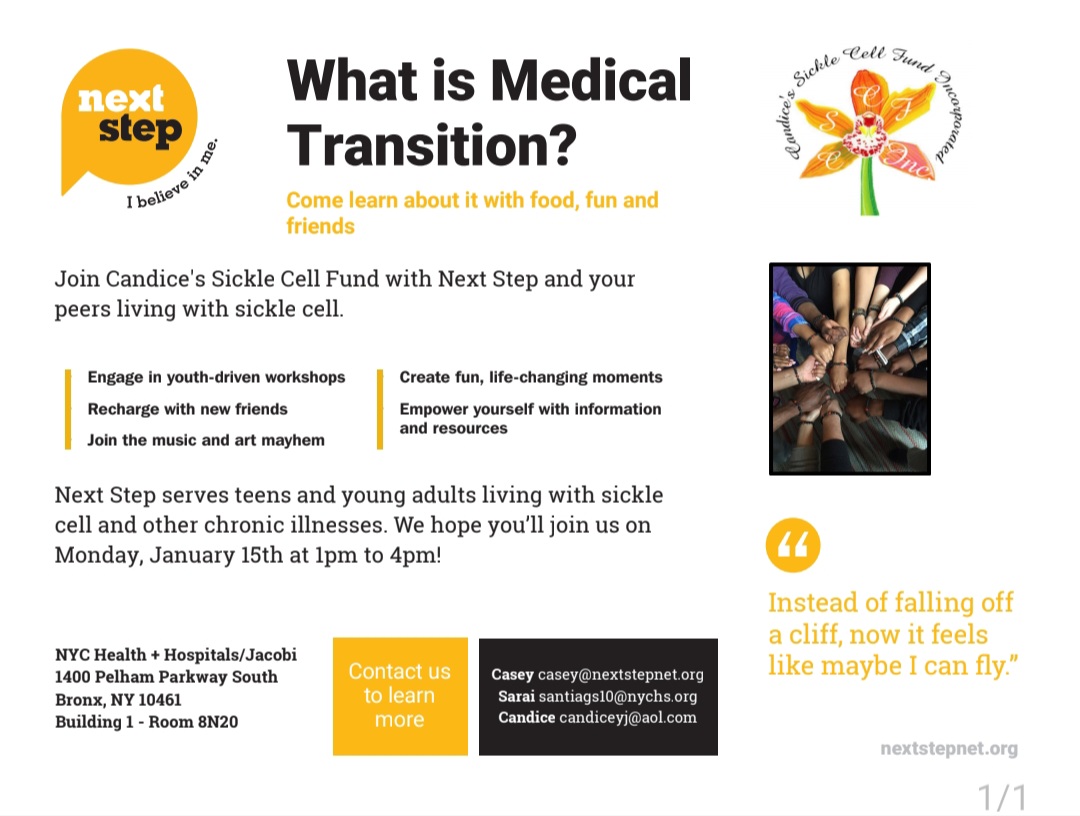 Candice's Sickle Cell Anemia Fund, Inc. | Raising Awareness And ...